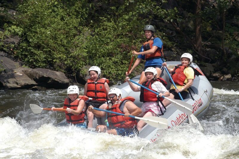 From Hartford: Upper Pigeon River White Water Rafting Tour - The Views and Natural Beauty