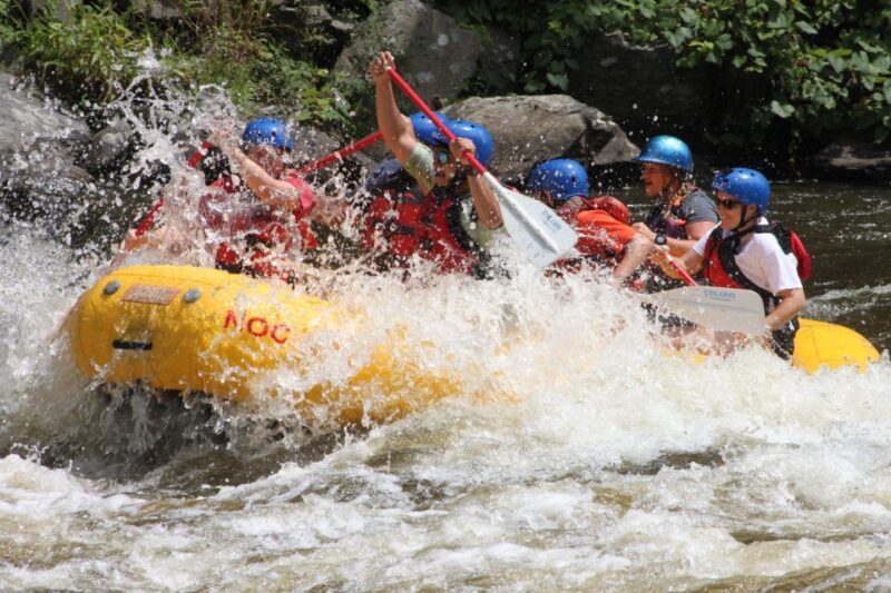 From Hartford: Upper Pigeon River White Water Rafting Tour - Who Should Consider This Tour?