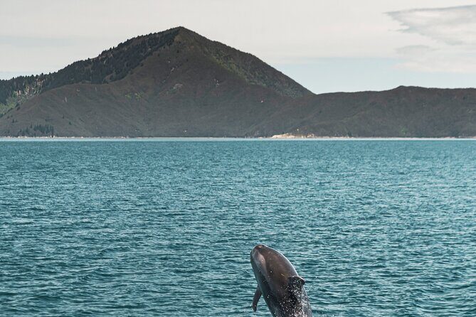 From Havelock to Marlborough Sounds Postie's Day Off Cruise - The Itinerary in Detail