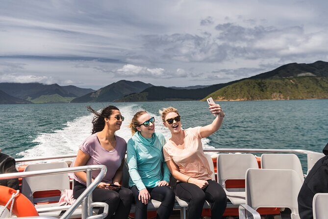 From Havelock to Marlborough Sounds Postie's Day Off Cruise - Final Thoughts