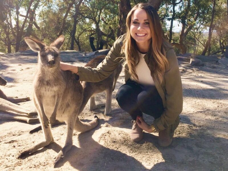 From Haymarket: Hunter Valley Wine and Wildlife Day Trip - Who Is This Tour Best Suited For?