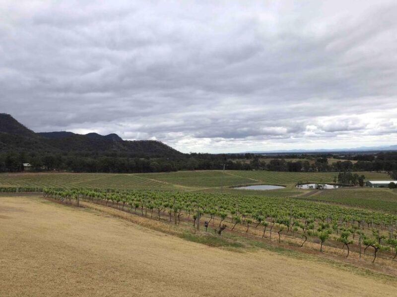 From Haymarket: Hunter Valley Wine and Wildlife Day Trip - Frequently Asked Questions