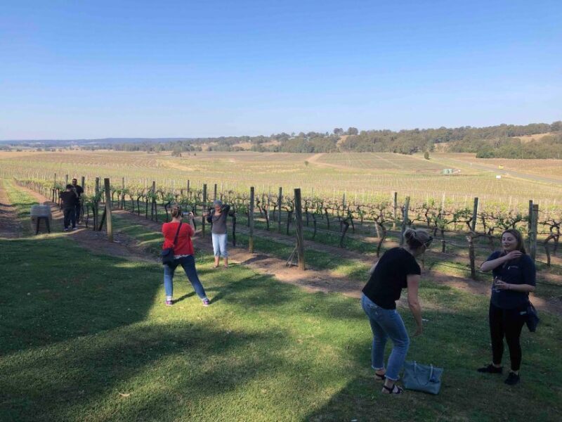 From Haymarket: Hunter Valley Wine and Wildlife Day Trip - Final Thoughts