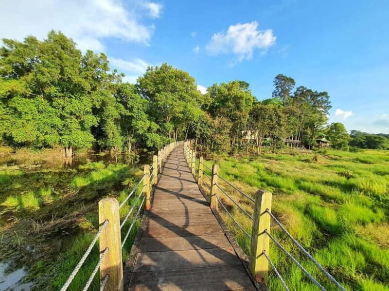 From HCM: Cat Tien Park Jungle Day Trip with Optional 2D1N - Introduction: What to Expect from the Cat Tien Park Jungle Tour