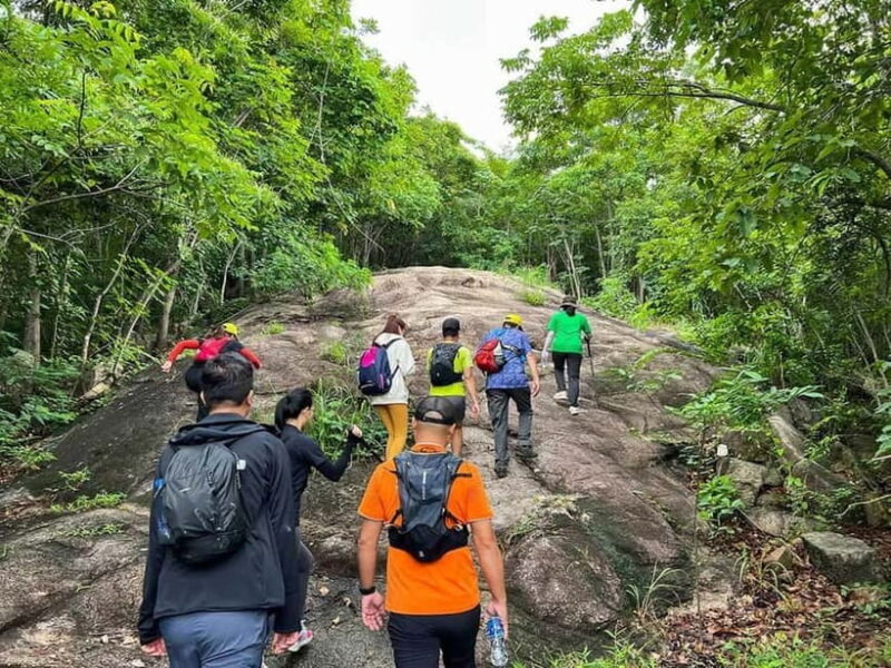 From HCM City: Dinh Mountain Hiking & Sightseeing Day Tour - What Travelers Say About the Tour