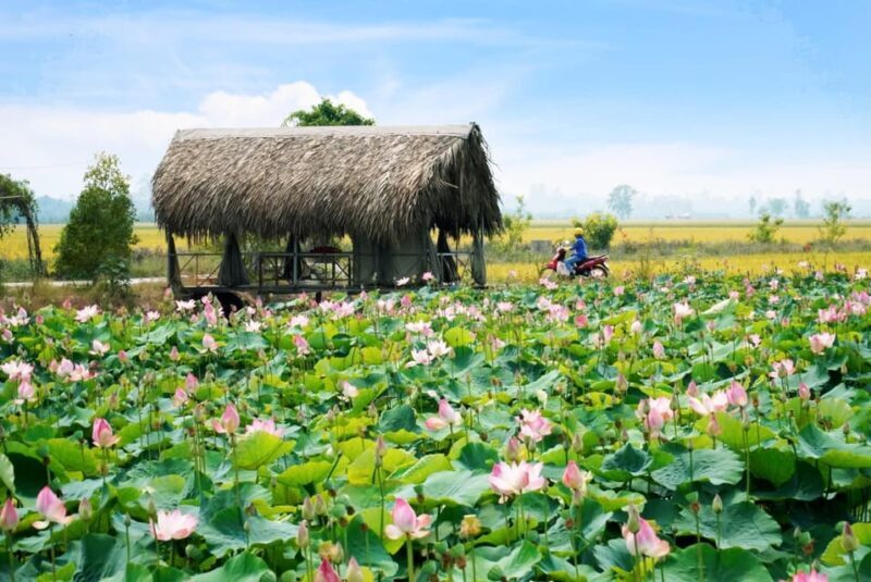 From HCM City: Mekong Delta Dong Thap Sa Dec 1 Day Tour - The Sum Up: Who Is This Tour Best For?