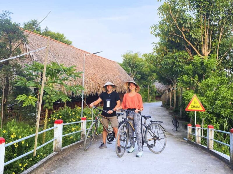 From HCM: Mekong Delta Journey, Bee Farm, Tropical Fruits - Key Points