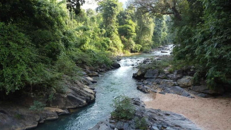 From HCMC: 3-Day Madagui Forest Tour with Da Huoai Stream - An Authentic Escape into Nature