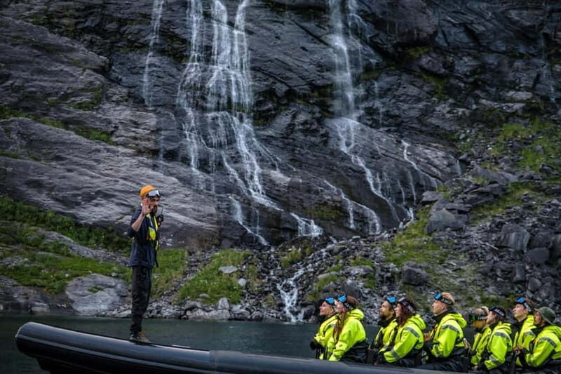 From Hellesylt: Experience Fjordsafari Geirangerfjord on RIB - Who Will Love This Tour?