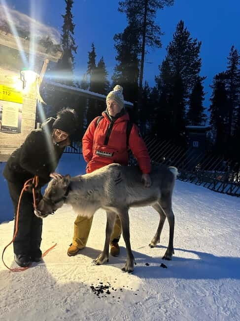 From Helsinki: 7-Day Lapland Northern Lights Tour - An In-Depth Look at the Itinerary