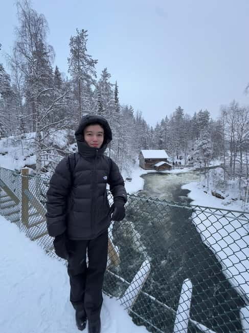 From Helsinki: 7-Day Lapland Northern Lights Tour - Who Will Love This Tour?