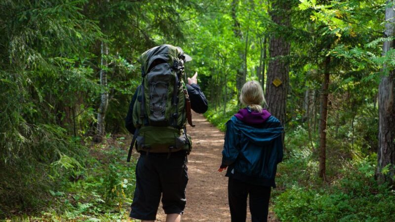 From Helsinki: Berry Picking Day Trip in a National Park - The Lakeside Campfire and Finnish-Style Lunch
