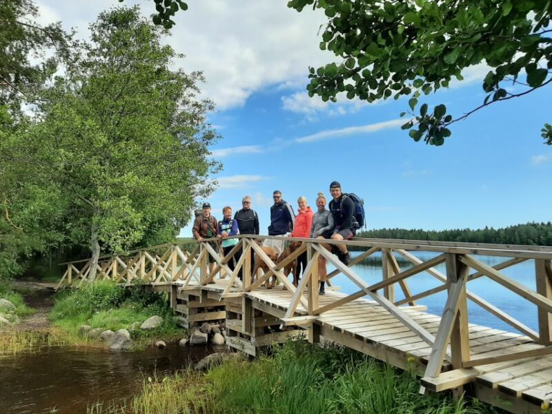 From Helsinki: Berry Picking Day Trip in a National Park - Final Thoughts: Who Will Love This Tour?