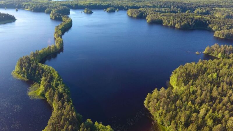 From Helsinki: Berry Picking Day Trip in a National Park - FAQs