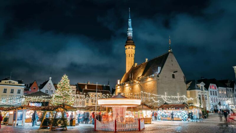 From Helsinki: Day Trip to Tallinn (Ferry, Guide & VIP car) - Final Thoughts