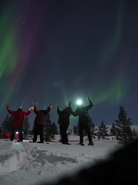 From Helsinki: Guided Forest Walk in the dark with campfire - Who Will Love This Experience?