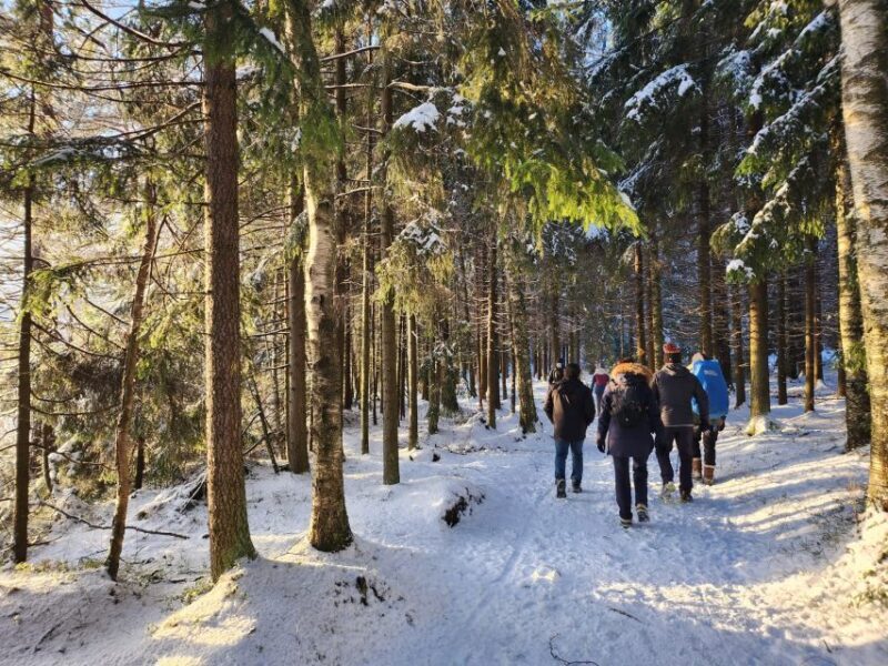 From Helsinki: Hike and Sauna in Sipoonkorpi National Park - The Sum Up: Who Will Love This Tour?