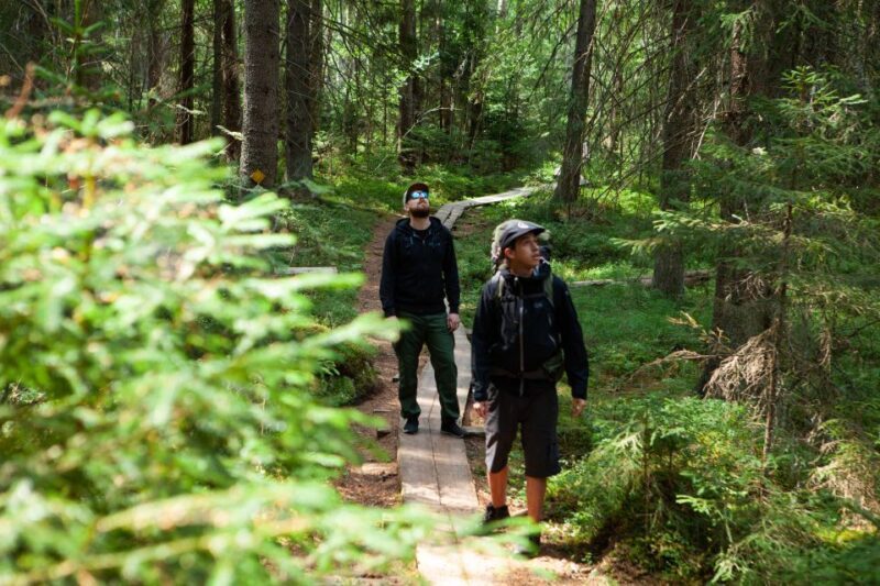 From Helsinki: Magical Taiga Hike in Liesjärvi National Park - Key Points