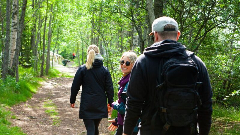 From Helsinki: Magical Taiga Hike in Liesjärvi National Park - Exploring Liesjärvi National Park: What You Can Expect