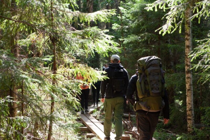 From Helsinki: Mushroom Hunting Tour in a National Park - Is It Worth the Price?