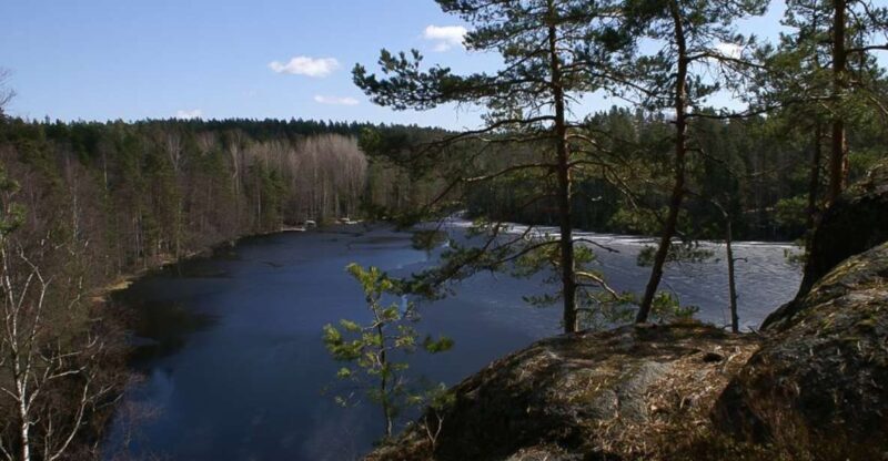From Helsinki: Nuuksio National Park Half-Day Trip - The Dive into Finland’s Natural Heritage