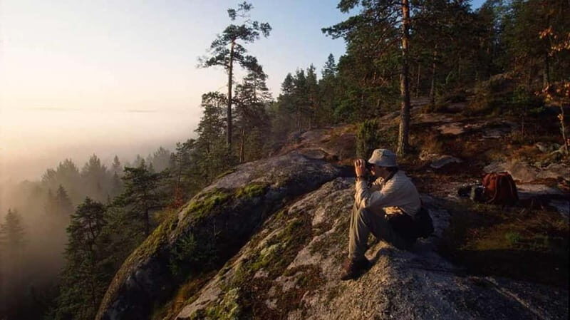 From Helsinki: Private Sauna + 3-Course Finnish Dinner - Why This Tour Offers Great Value