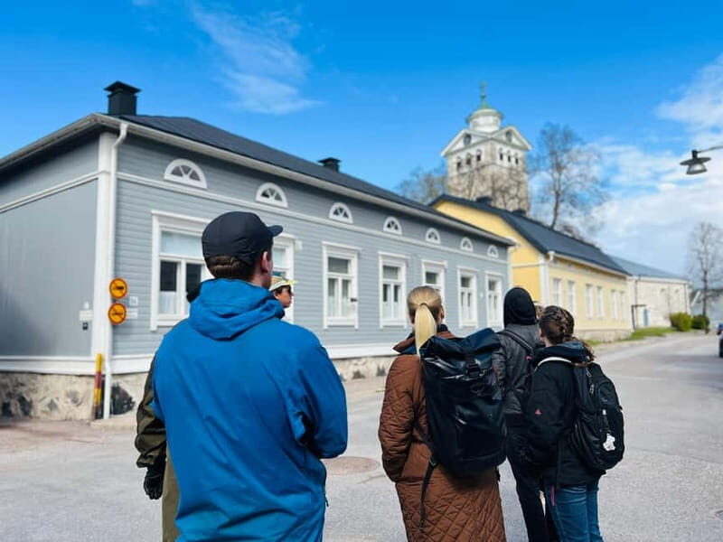 From Helsinki: Raasepori Castle Ruins & Ekenäs Old Town - Who Will Love This Tour?