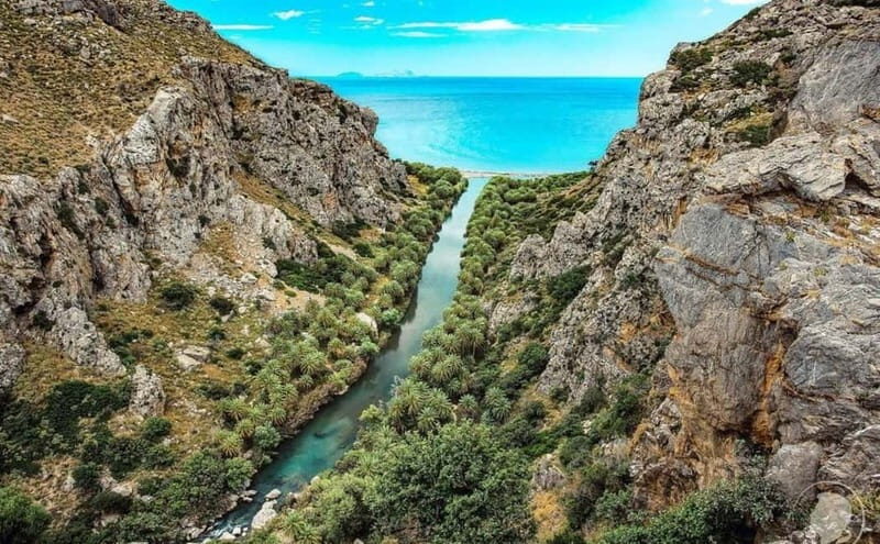 From Herakleion: Day Trip to Preveli Palm River Beach - The Palm Forest and River