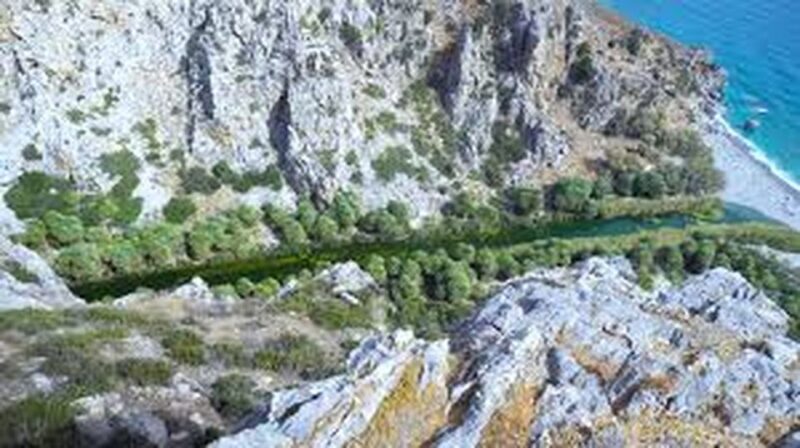 From Herakleion: Day Trip to Preveli Palm River Beach - Does It Offer Good Value?
