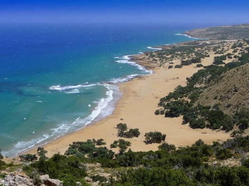 From Herakleion: Day Trip to Preveli Palm River Beach - Who Should Book This Tour?