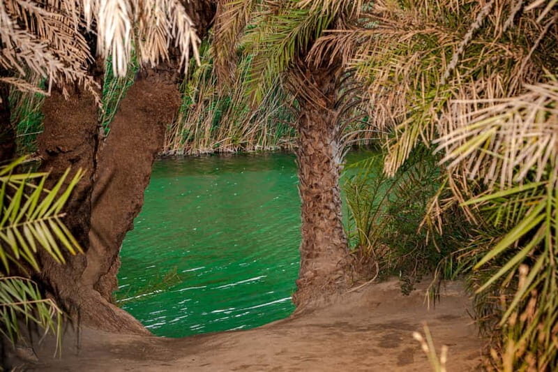 From Herakleion: Day Trip to Preveli Palm River Beach - Frequently Asked Questions