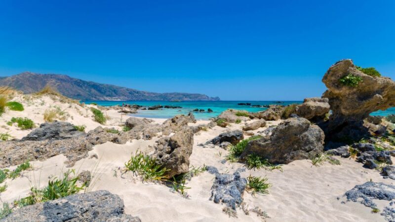 From Heraklion: A Beach Getaway to Elafonisi Pink Sand Beach - What to Expect from the Tour