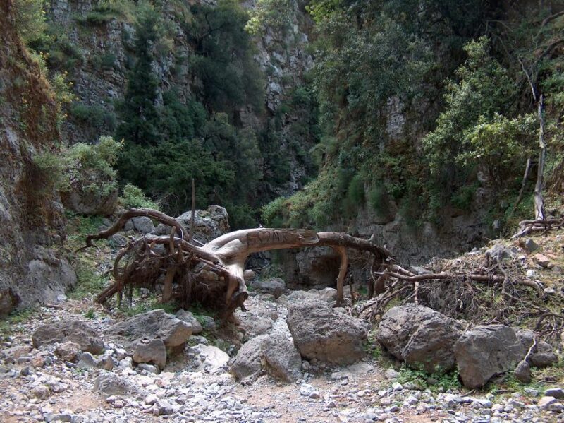 From Heraklion: Imbros Gorge and Libyan Sea Guided Day Trip - Final Thoughts