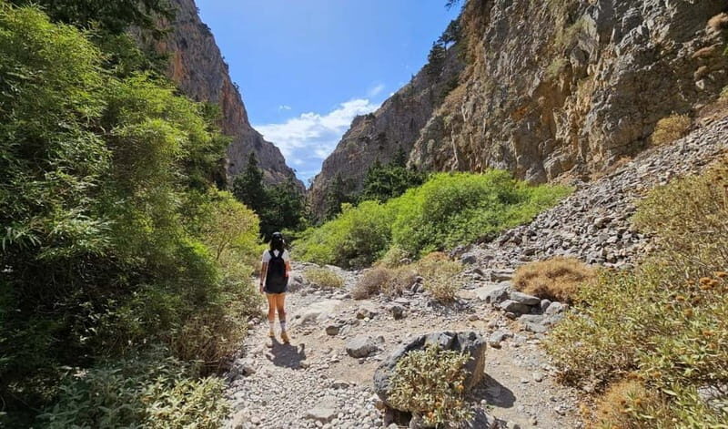 From Heraklion: Imbros Gorge Private Tour - Key Points