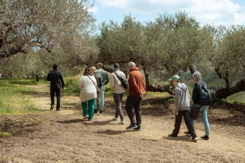 From Heraklion: Olive, Wine & Monastery Luxury Guided Tour - Practical Tips