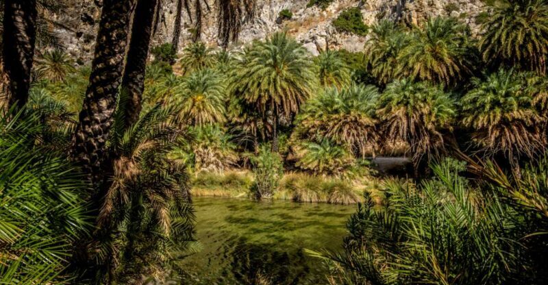 From Heraklion: Preveli Natural Palm Forest & Exotic Beach - FAQs