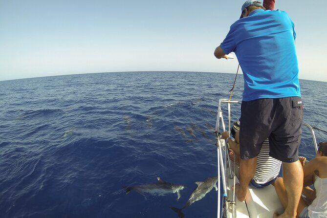 From Heraklion : Small Group 6 hours Sailing Trip to Dia Island - Authentic Reviews and Feedback