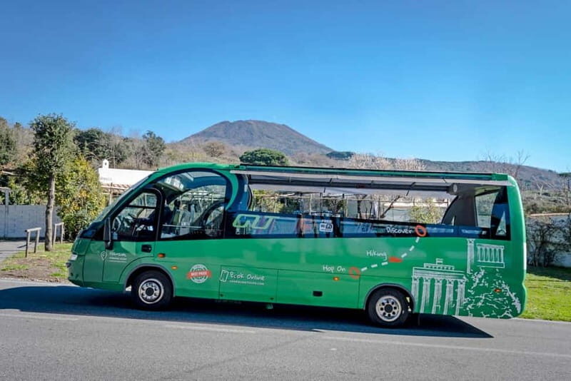 From Herculaneum : Panoramic Open tour Destination Vesuvio - Key Points