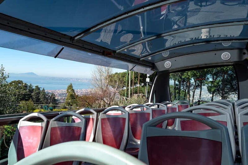 From Herculaneum : Panoramic Open tour Destination Vesuvio - Who Will Love This Tour?