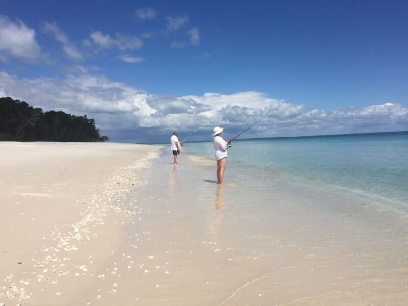 From Hervey Bay: Half-Day K'gari Fraser Island Beach Cruise - The Itinerary: A Closer Look