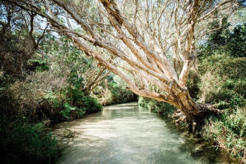 From Hervey Bay: K'gari, Fraser Island Full-Day Coach Tour - Timing and Practical Details
