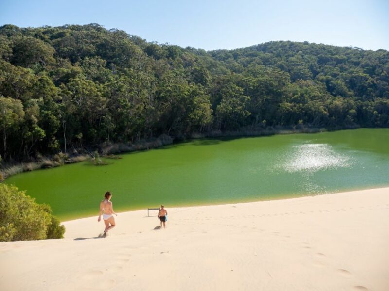 From Hervey Bay: K'gari, Fraser Island Two-Day Coach Tour - From Hervey Bay: Kgari, Fraser Island Two-Day Coach Tour