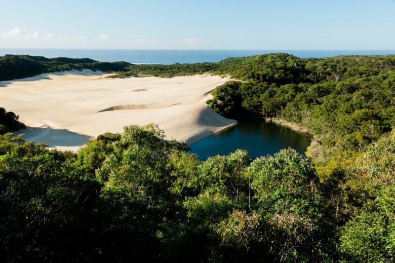 From Hervey Bay: K'gari, Fraser Island Two-Day Coach Tour - FAQ