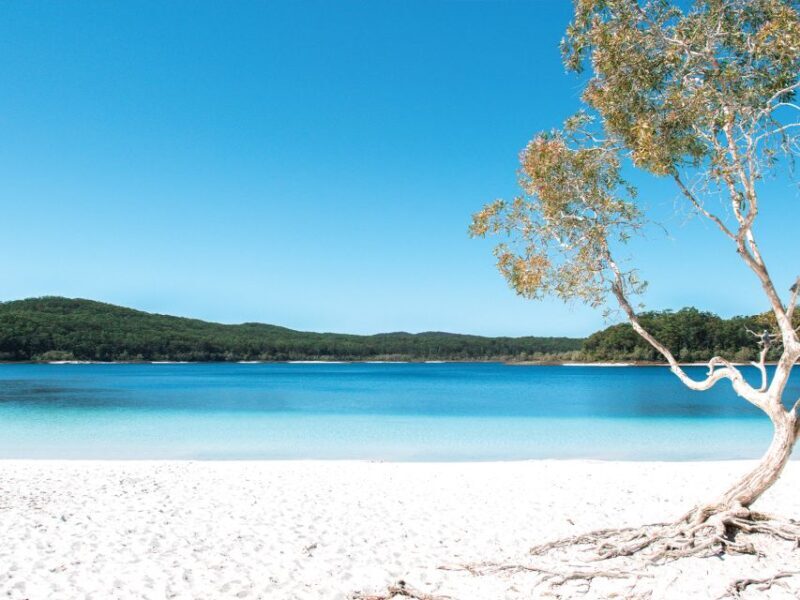 From Hervey Bay: K'gari Getaway Three-day 4WD Coach Tour - An in-depth look at the 3-day Fraser Island tour