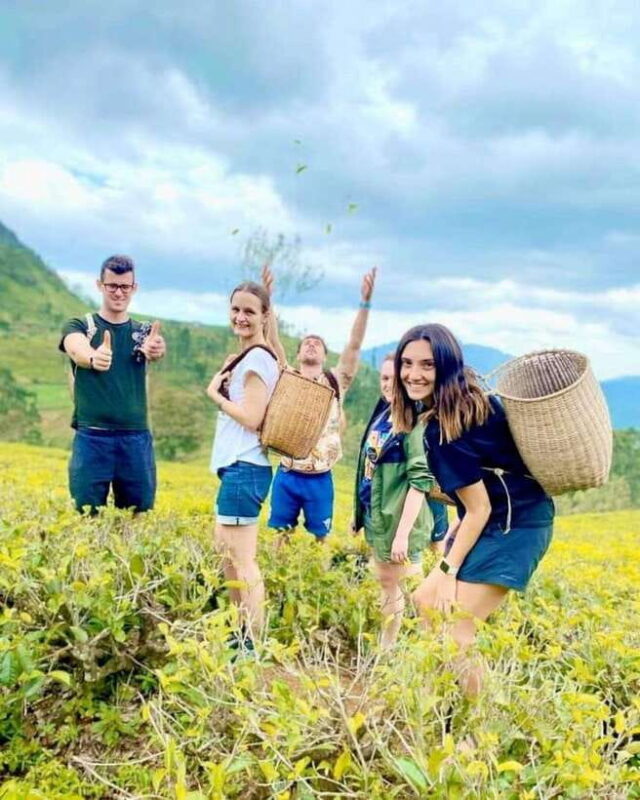 From Hikkaduwa/Galle/Mirissa : Waterfall & Tea Factory Tour - Key Points