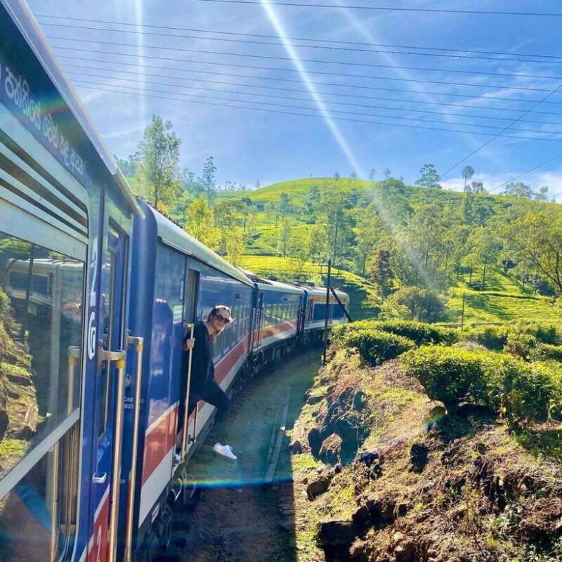 From Hikkaduwa/Galle/Mirissa : Waterfall & Tea Factory Tour - The Scenic Train Ride: A High Point