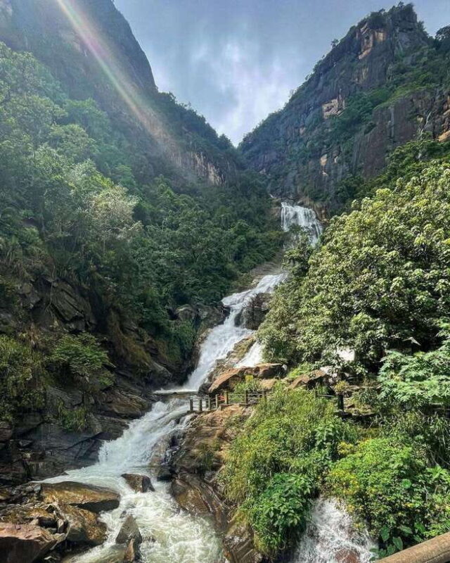 From Hikkaduwa/Galle/Mirissa : Waterfall & Tea Factory Tour - Who Should Consider This Tour?