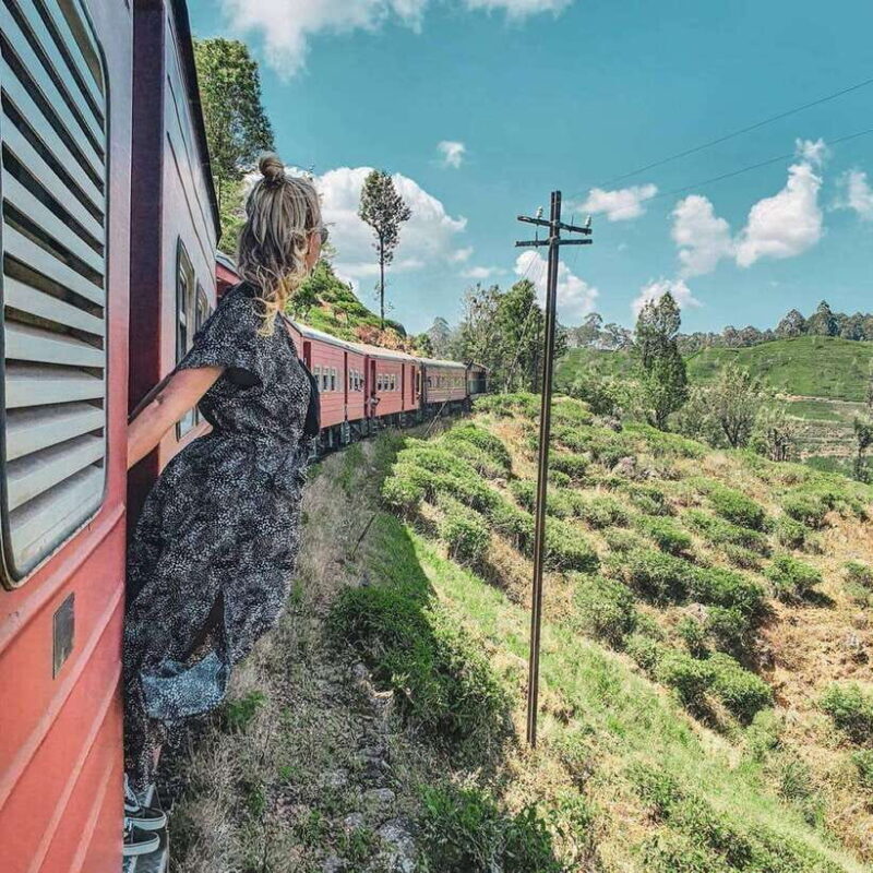 From Hikkaduwa/Galle/Mirissa : Waterfall & Tea Factory Tour - Final Thoughts