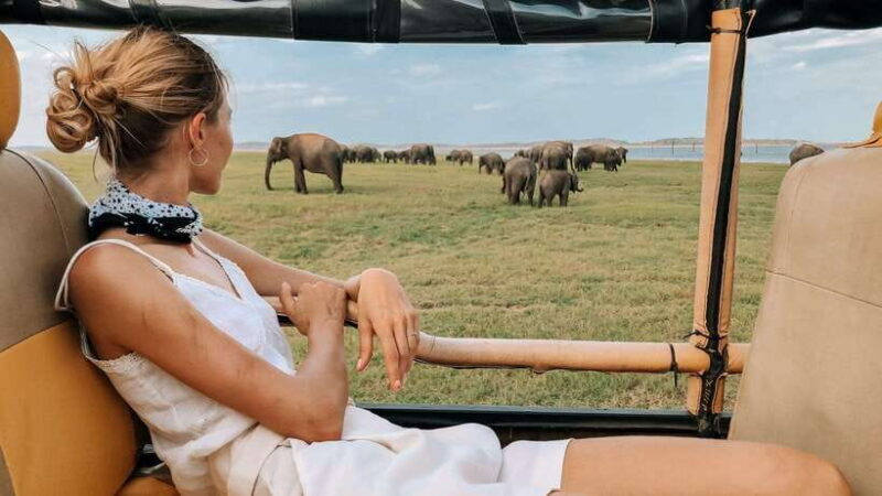 From Hikkaduwa/Galle/Weligama/Mirissa: Udawalawa Safari Tour - Practical Tips for Your Safari Day