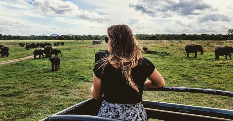 From Hikkaduwa/Galle/Weligama/Mirissa: Udawalawa Safari Tour - FAQs About the Udawalawa Safari Tour